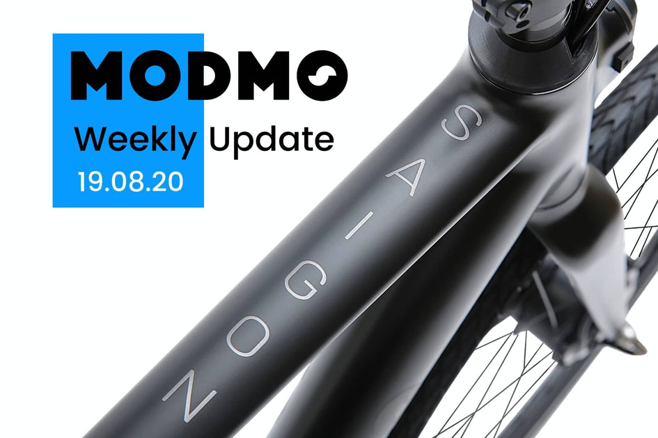 Modmo Weekly update: August 19th